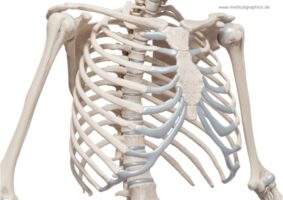 Rib Subluxation Guide & Tips | Jeannie Di Bon